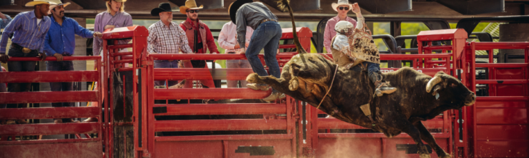Rodeo | Maryland State Fair